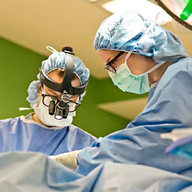 | Department of Surgery | The University of Chicago