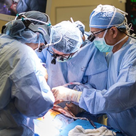 Sections & Programs | Department of Surgery | The University of Chicago